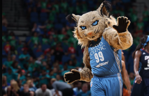 45 Famous Sports Mascots That Bring Teams And Fans Together