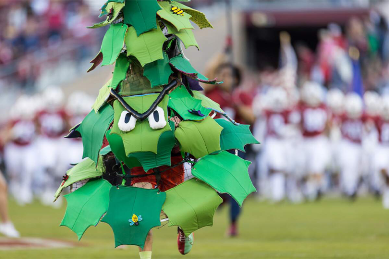 45 Famous Sports Mascots That Bring Teams And Fans Together